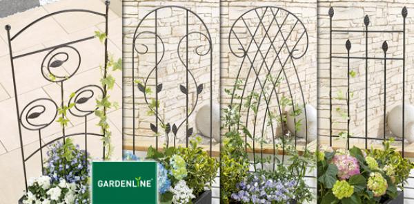 GARDENLINE® Metall-Rankspalier von Aldi Süd ansehen!
