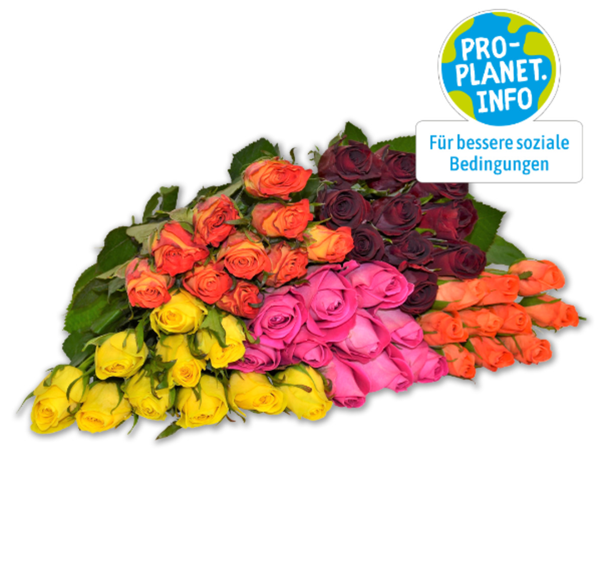 Wunderschöne Fairtrade Rosen von Penny Markt ansehen!