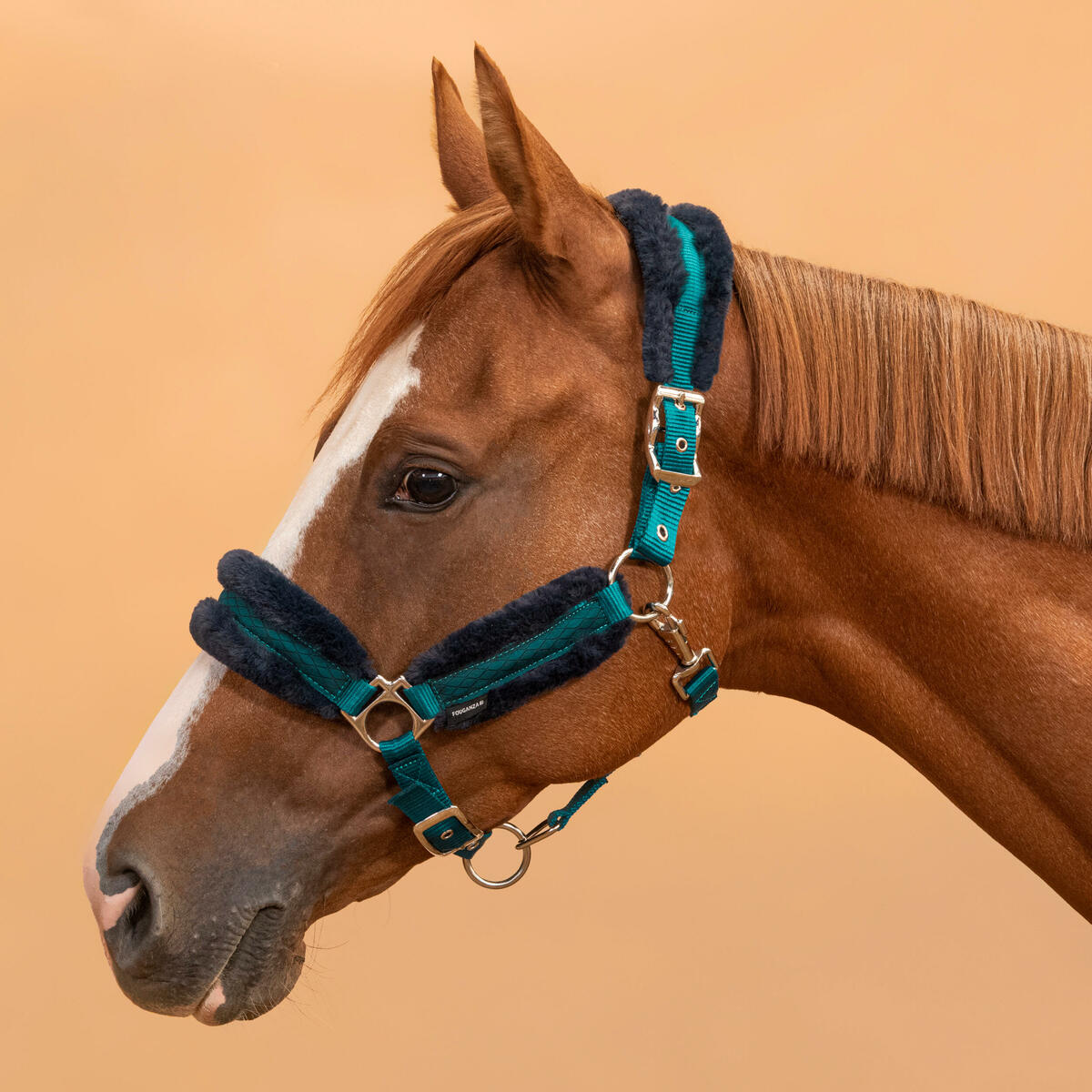 Halfter Pferd - Comfort türkis/dunkelblau von Decathlon ansehen!
