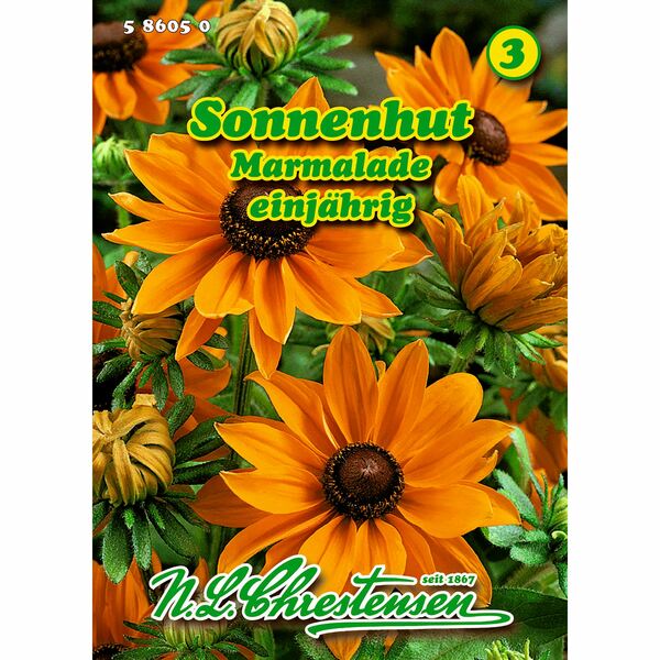 Rudbeckia hirta, Sonnenhut, Marmalade für ca. 80 Pflanzen von Jawoll ...