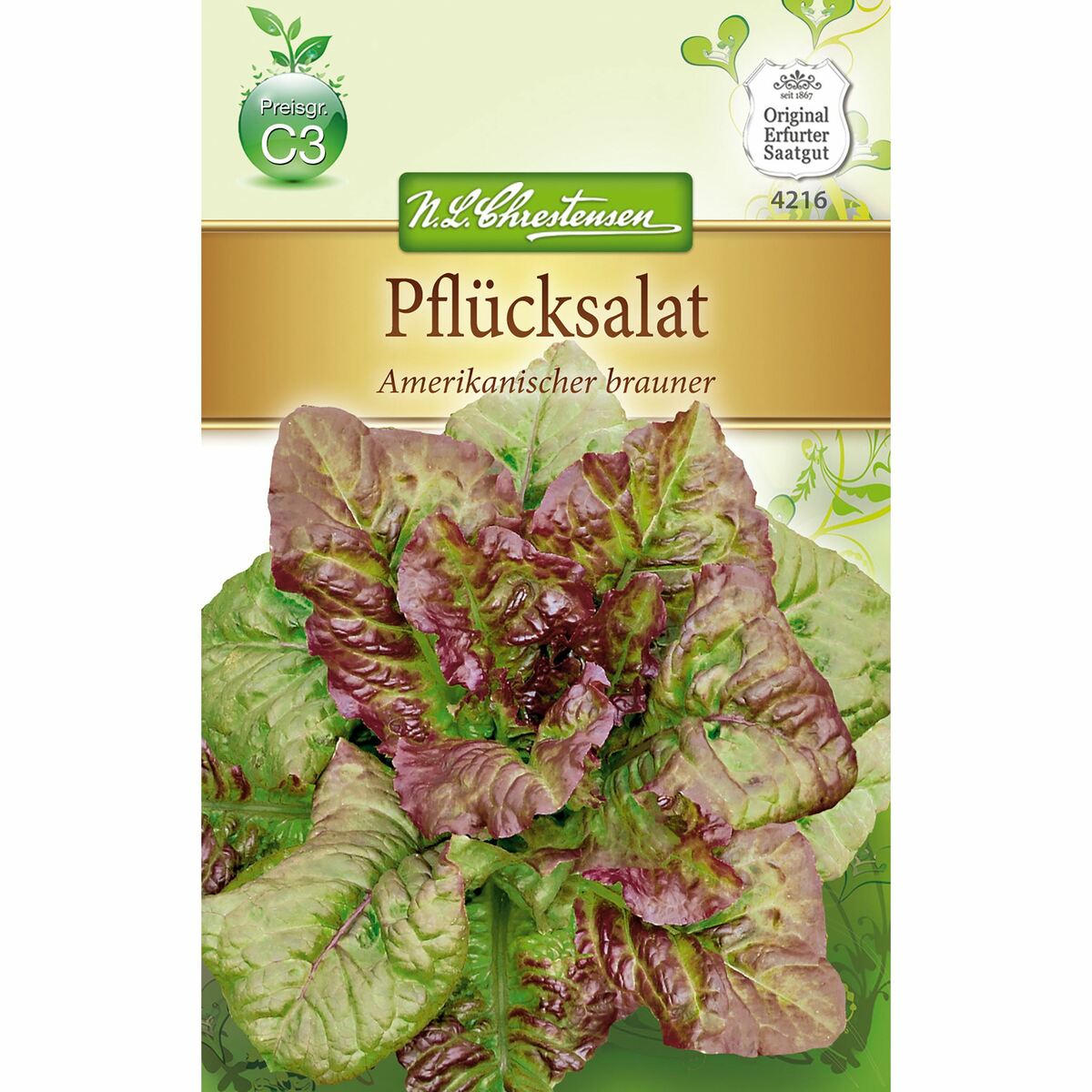 Pflucksalat Amerikanischer Brauner