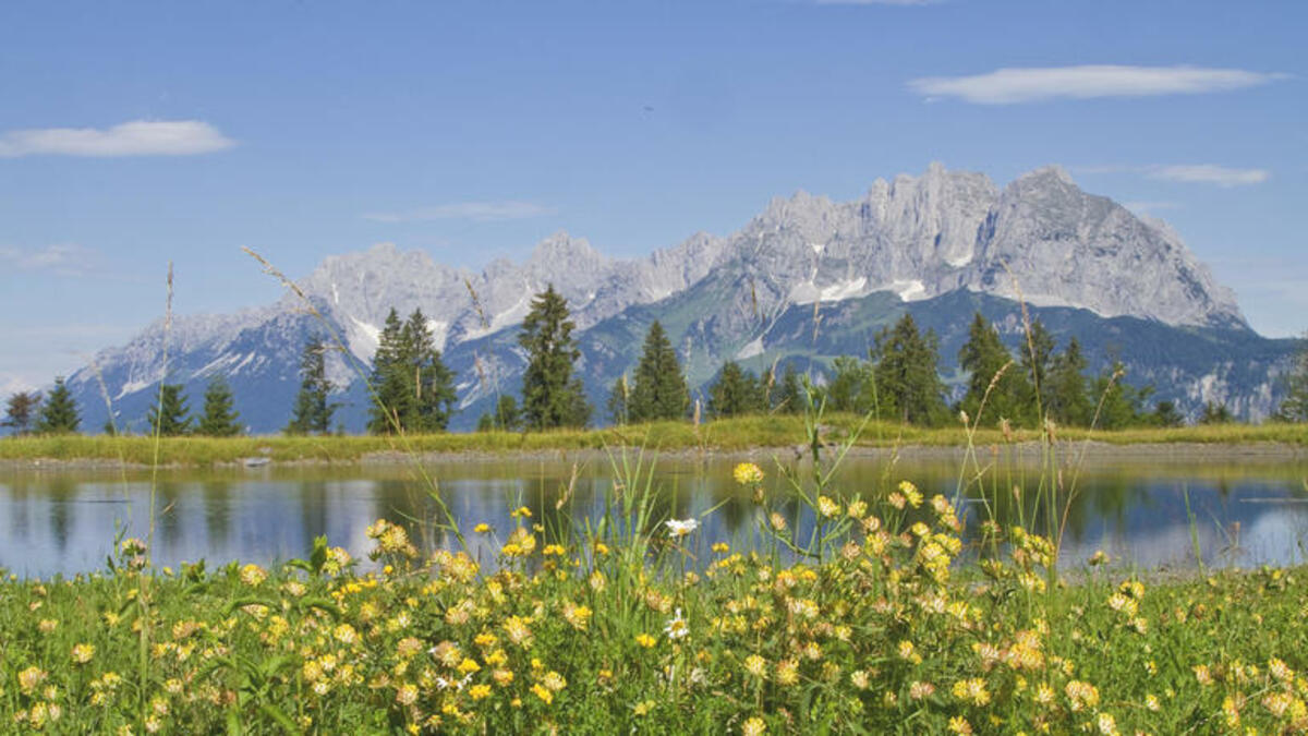 Eigene Anreise Österreich/Tirol: Tirol Lodge Ellmau von ALDI Reisen ...