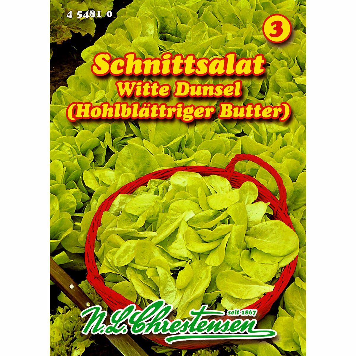 Schnittsalat, Witte Dunsel (Hohlblättriger Butter) von Jawoll ansehen!