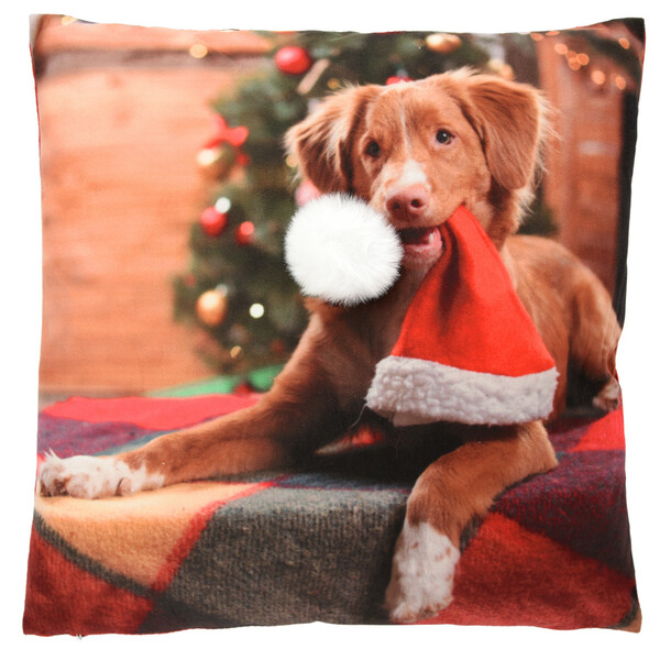 Kissen mit Hunde-Motiv von Ernstings Family ansehen! Kissen mit Hunde-Motiv von Ernstings Family ansehen!
