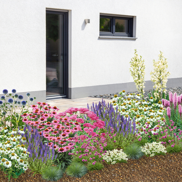 Staudenbeet "Robuster Trockenkünstler", 28 Pflanzen ansehen!