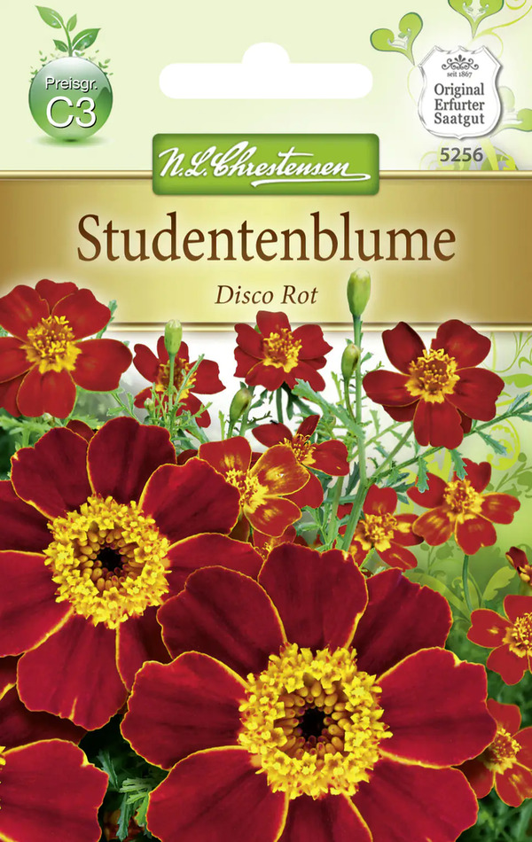 N.L.Chrestensen Saatgut Studentenblume ca. 80 Pflanzen von Globus ...