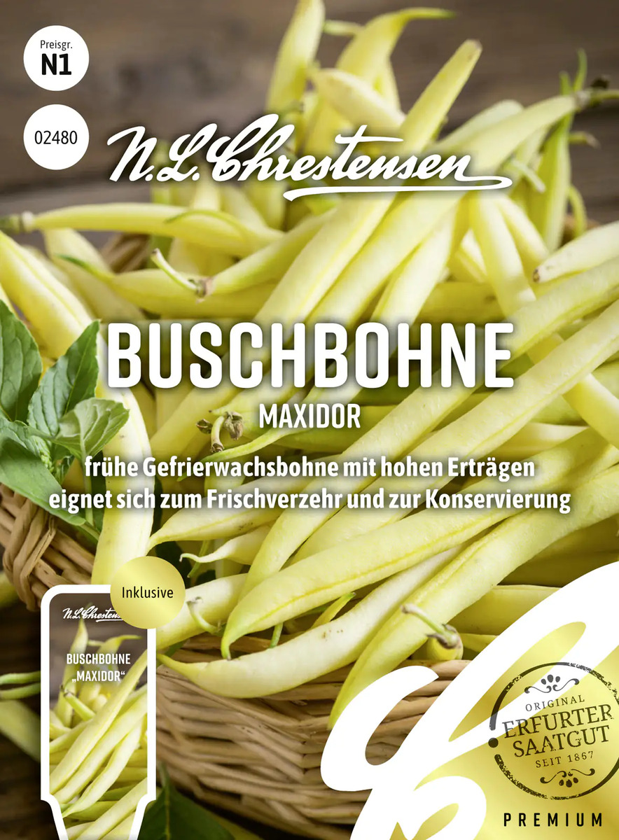 N.L.Chrestensen Saatgut Buschbohne Maxidor ca. 5-8 lfd. m. im Angebot ...