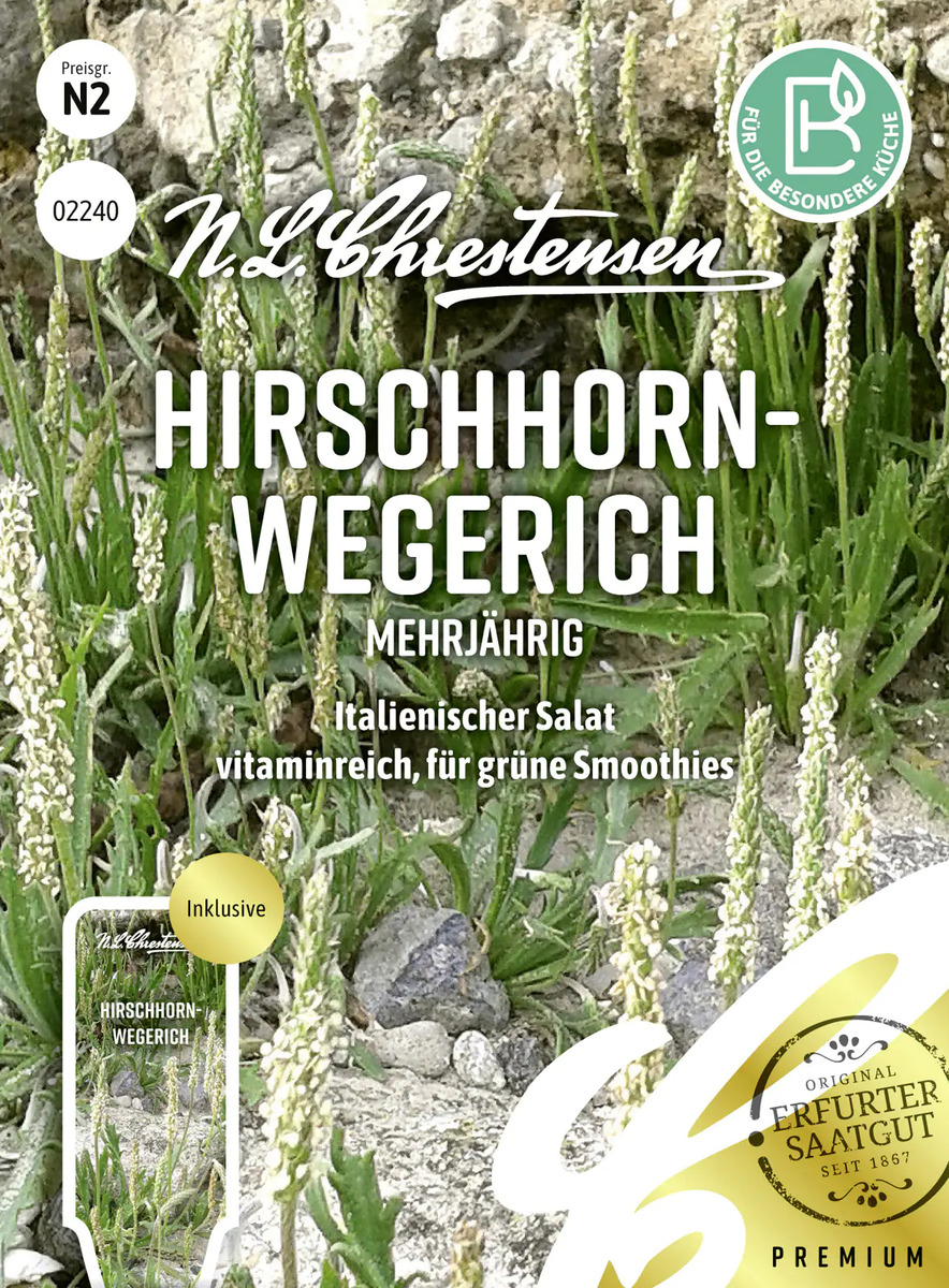 N.L.Chrestensen Saatgut Hirschhornwegerich Mehrjährig ca. 3-4 lfd. m ...