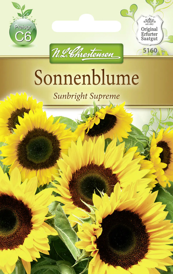 N.L.Chrestensen Saatgut Sonnenblume ca. 15 Pflanzen von Globus Baumarkt ...