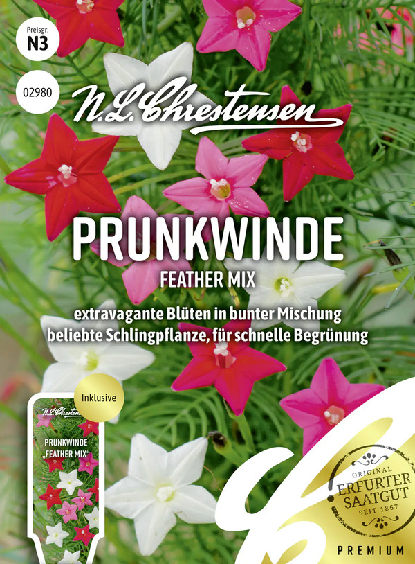 N.L.Chrestensen Saatgut Prunkwinde Feather Mix ca. 50 Pflanzen im ...