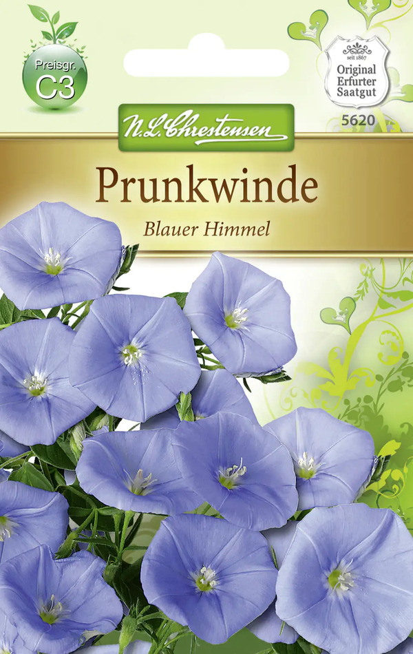 N.L.Chrestensen Saatgut Prunkwinde ca. 20 Pflanzen von Globus Baumarkt ...