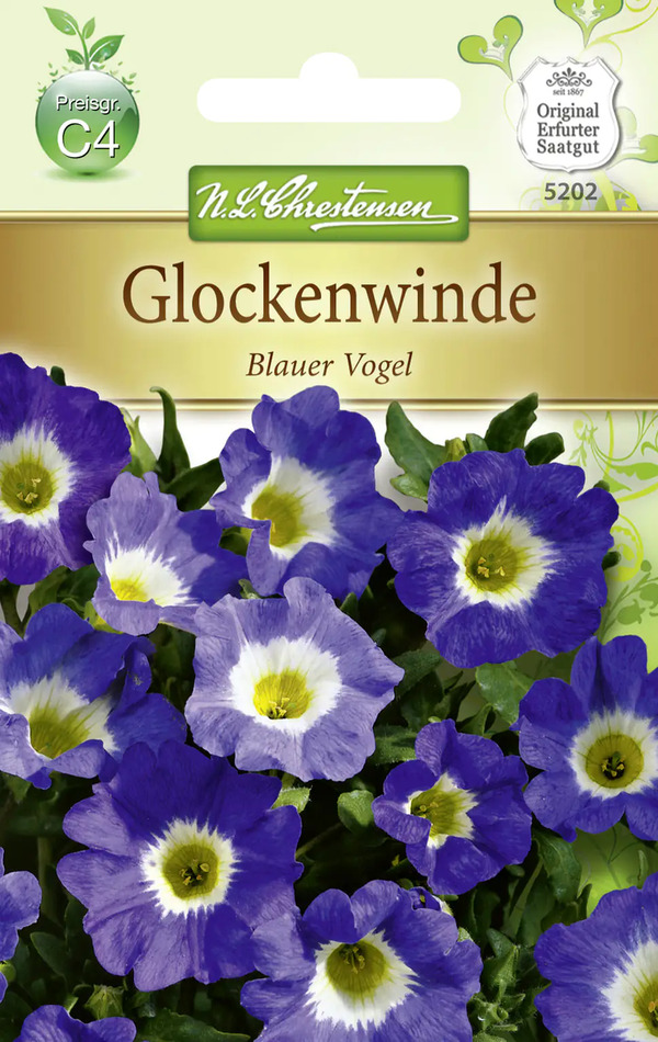 N.L.Chrestensen Saatgut Glockenwinde ca. 15 Pflanzen im Angebot ...