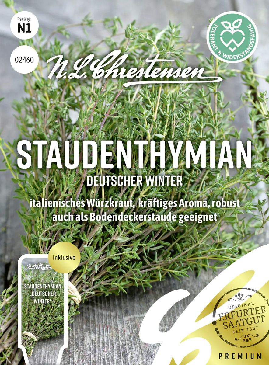 N.L.Chrestensen Saatgut Staudenthymian Deutscher Winter ca. 300 ...