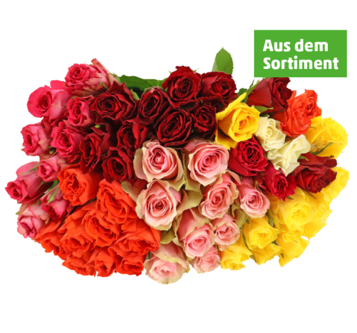 Wunderschöne Fairtrade-Rosen von Penny Markt ansehen!