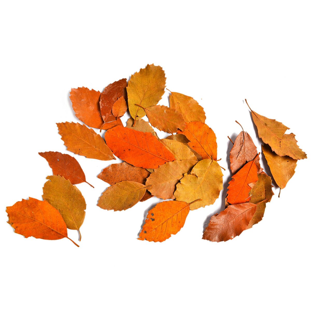 Streuartikel BLÄTTER ca. 30g, rost von Depot ansehen!