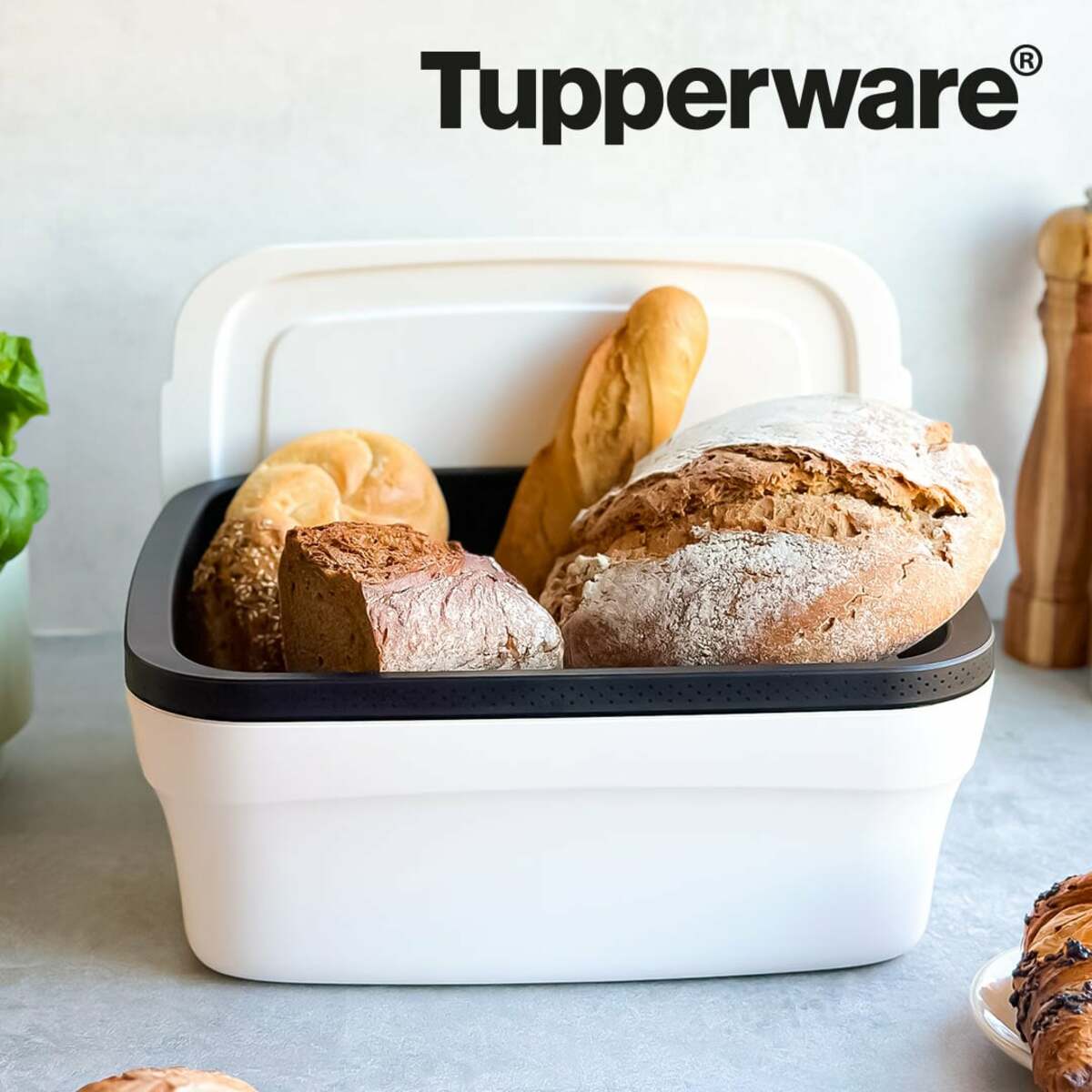Tupperware Breadsmart Large Brotkasten