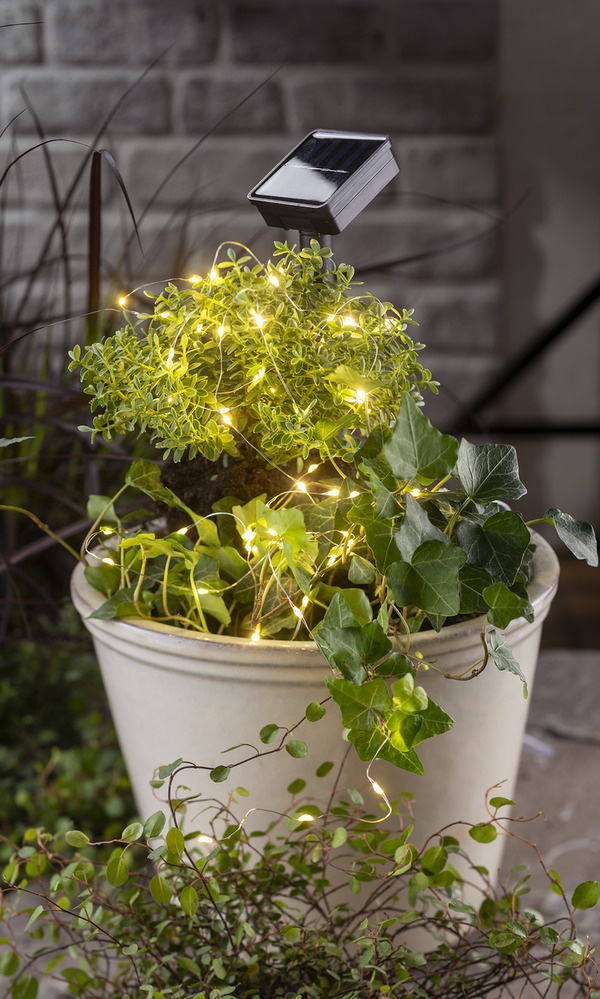 IDEENWELT Solar-Metalldraht-Lichterkette von ROSSMANN ansehen!