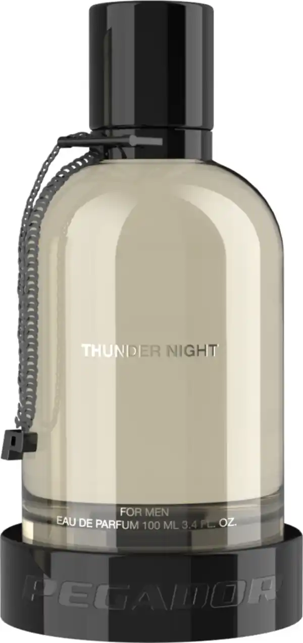 PEGADOR Thunder Night, EdP 100 ml im Angebot – Aktuelle Preise ...